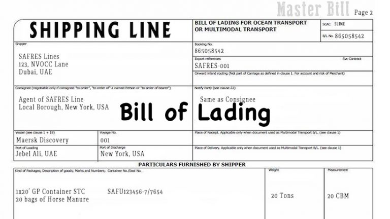 Các Thông Tin Chi Tiết Trên Bill Of Lading (B/L)